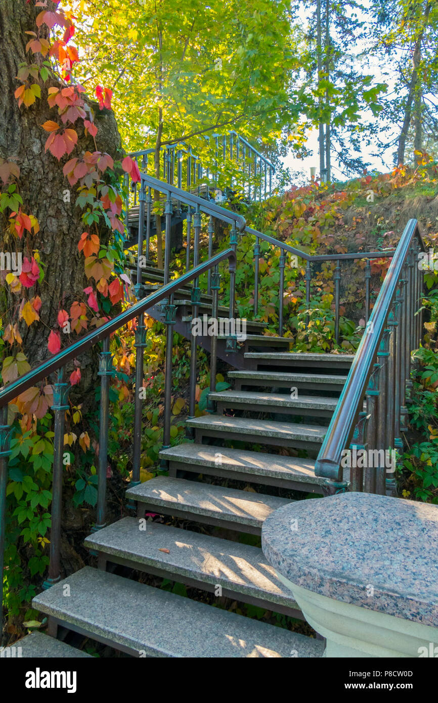 Beautiful Staircase In Nature