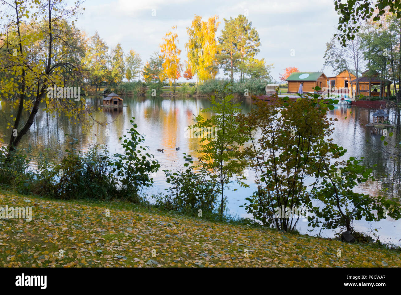 The autumn landscape includes a pond with cool water and yellow-red ...