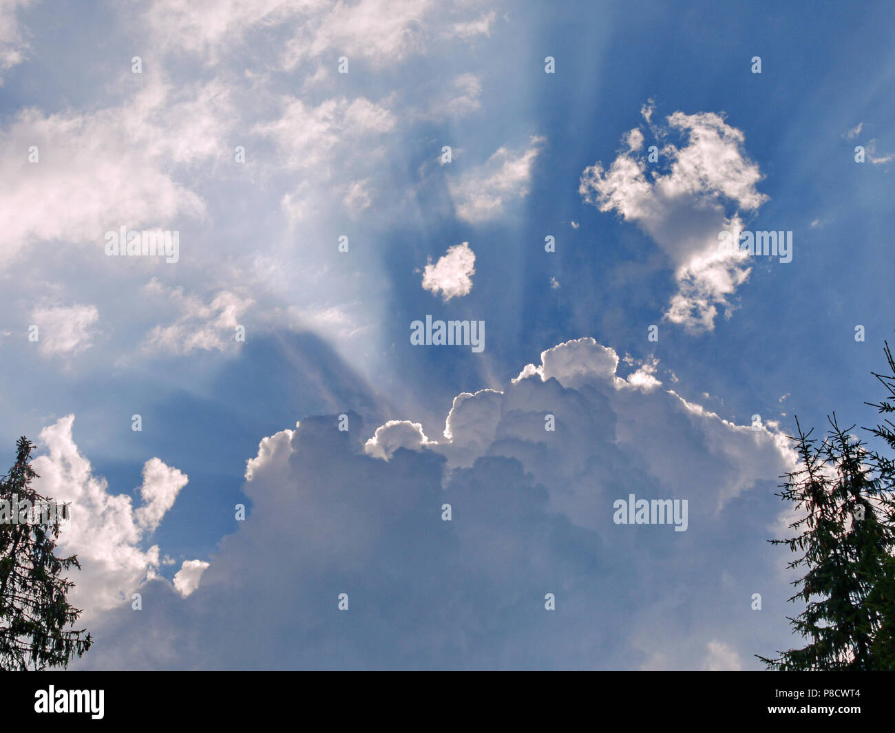 Weightless environment hi-res stock photography and images - Alamy