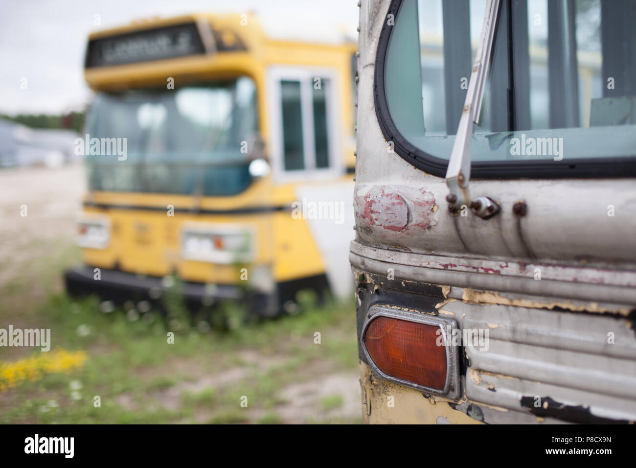 Decaying city buses are parked in a lot Stock Photo - Alamy