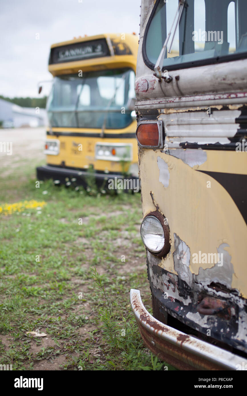 Decaying city buses are parked in a lot Stock Photo - Alamy