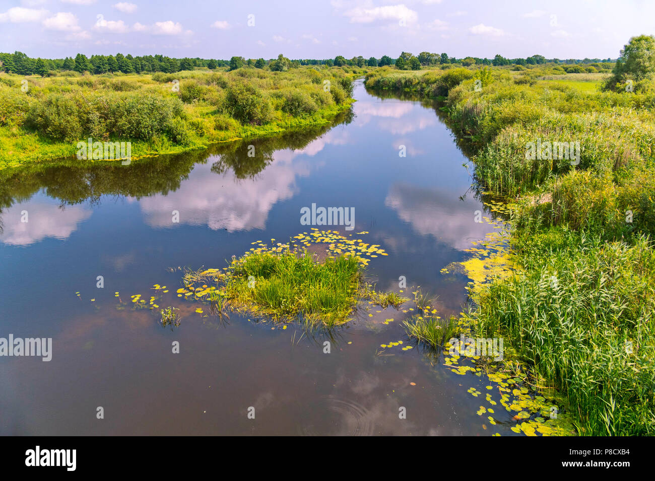 A quiet transparent river against a background of green vegetation and ...