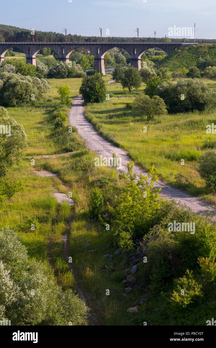 A dirt road crossing rough terrain with growing grass and trees to a ...