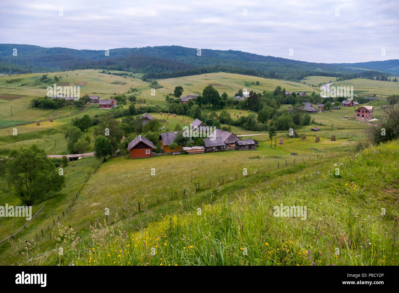 Small rural houses with courtyards on the background of wide green ...