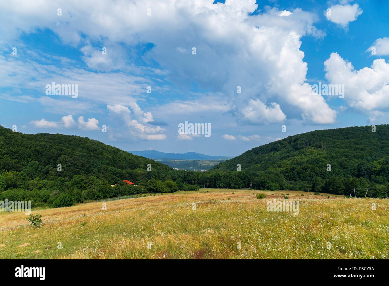 Two parallel-standing hills opening view from the field with dry grass ...