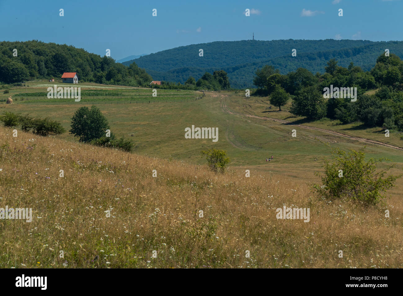 Bottom of a hill hi-res stock photography and images - Alamy