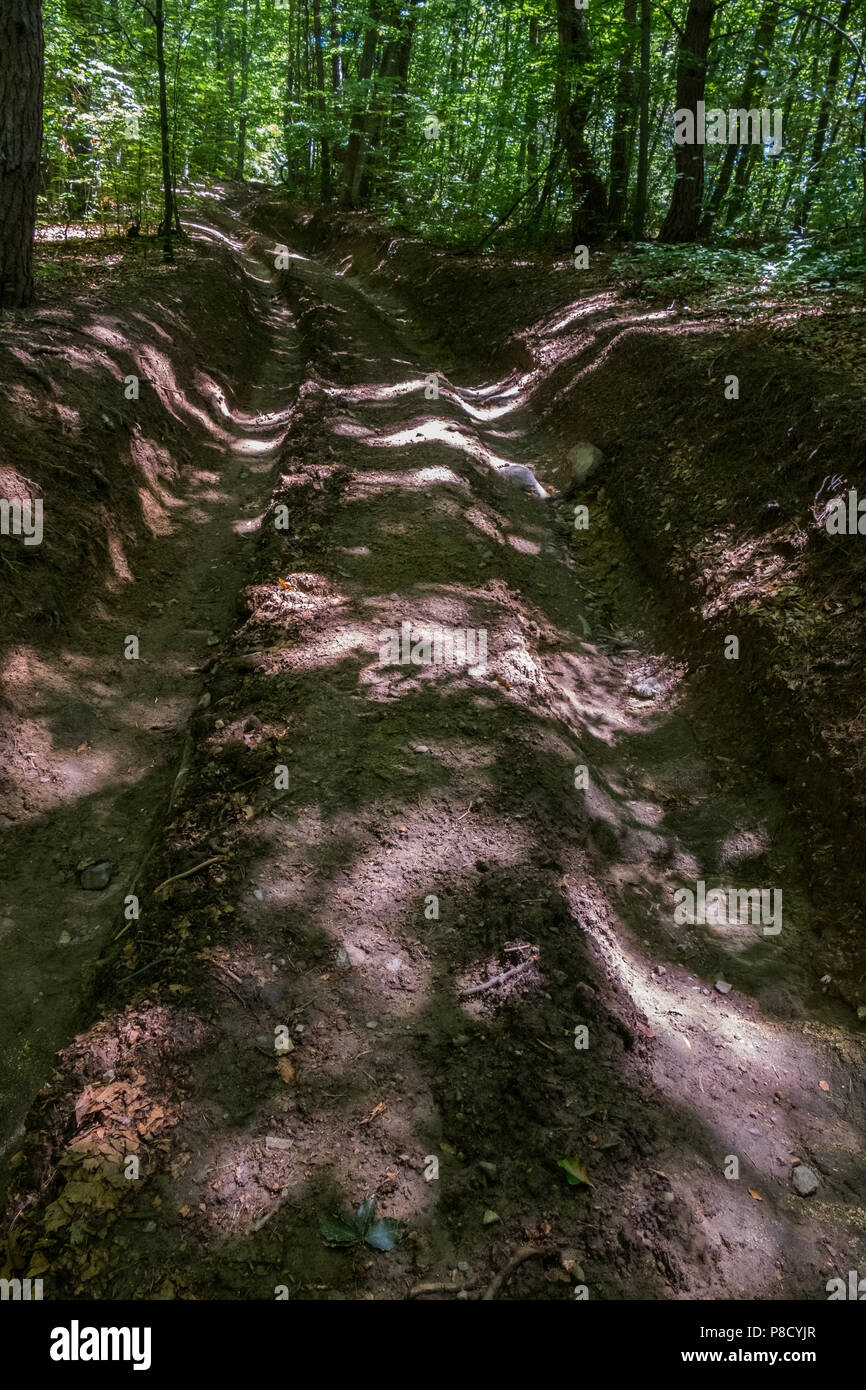 A forest road with traces in the mud from the wheels of a large car ...