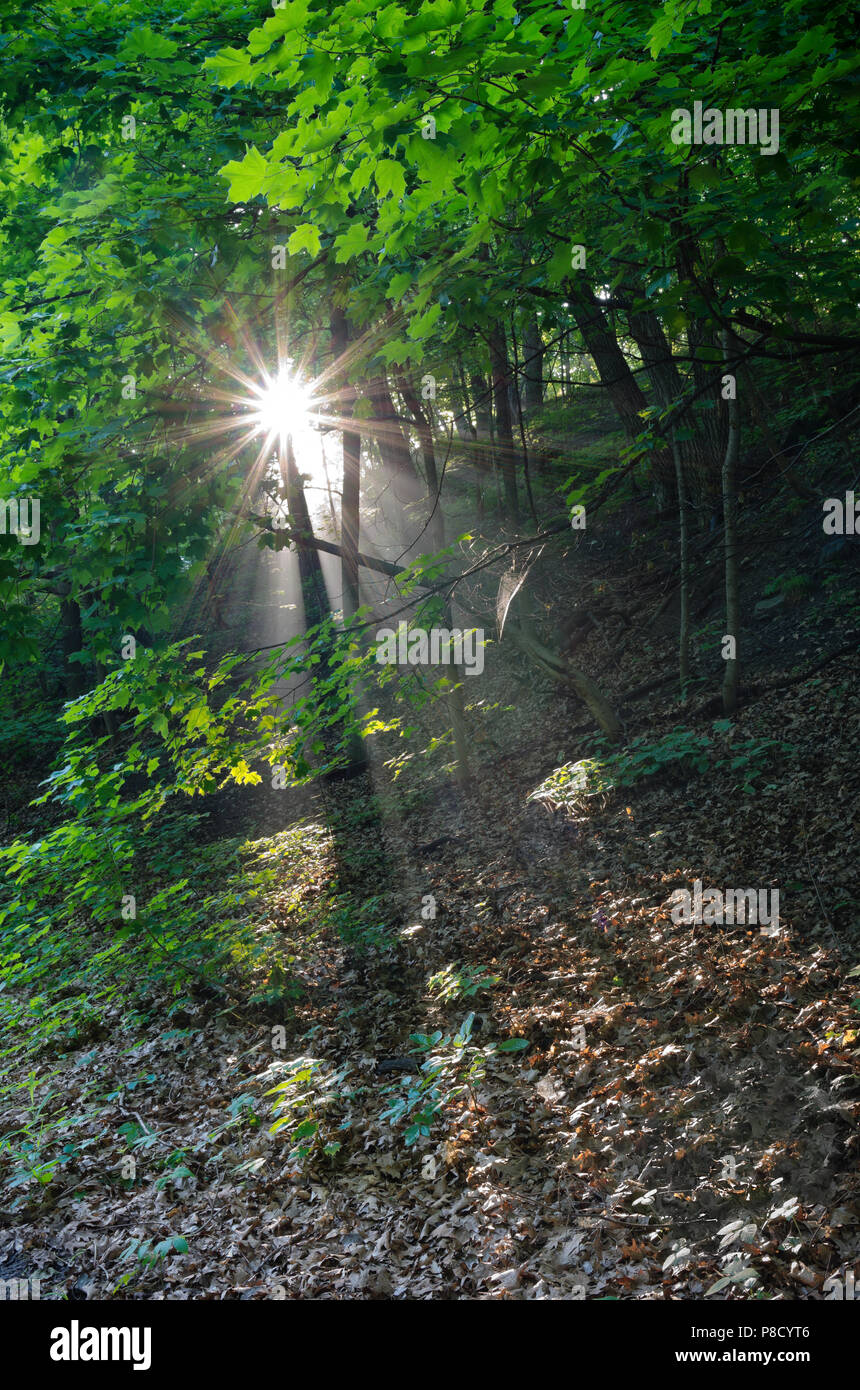 Kaposia park hi-res stock photography and images - Alamy