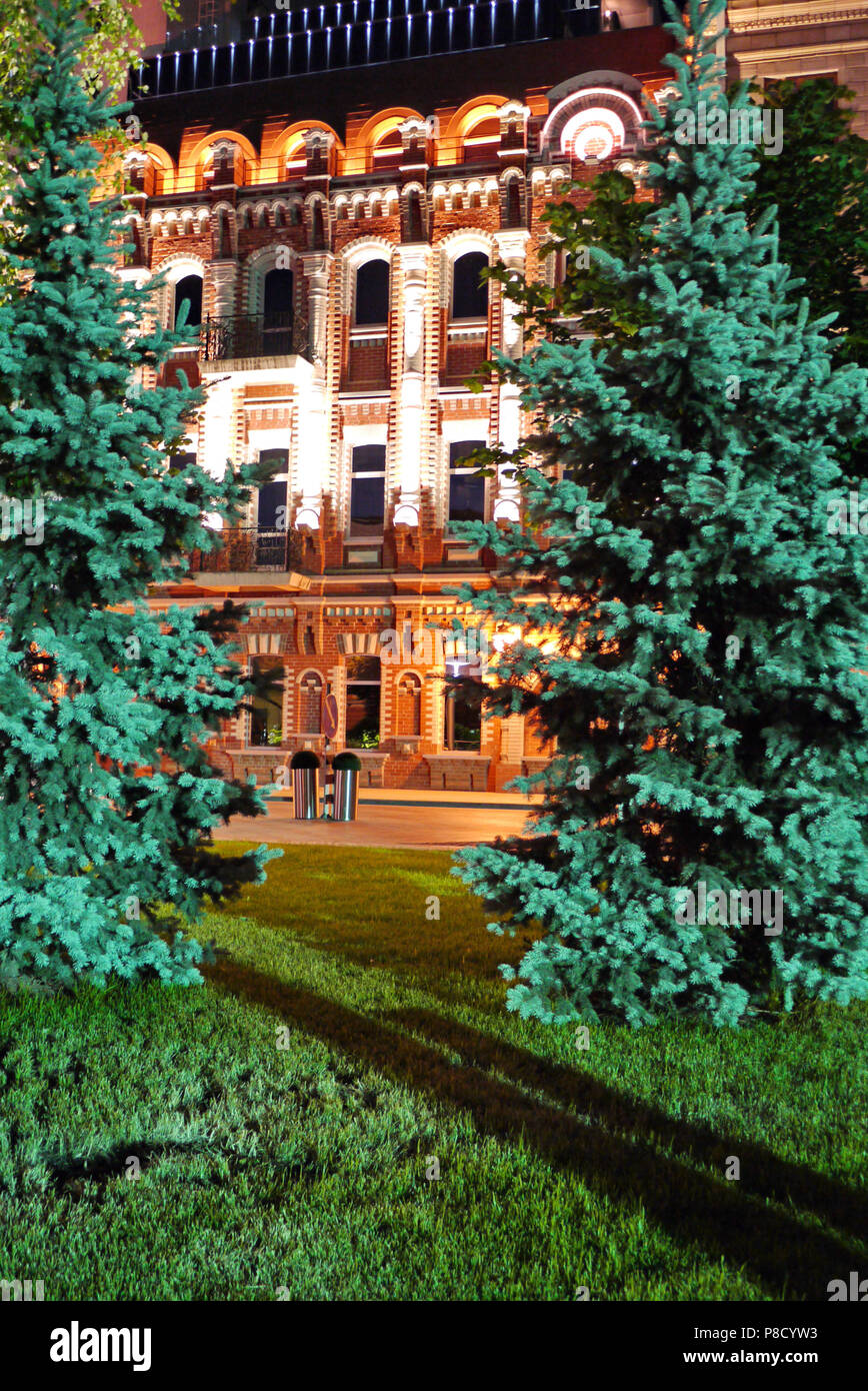 Seated trees hi-res stock photography and images - Alamy