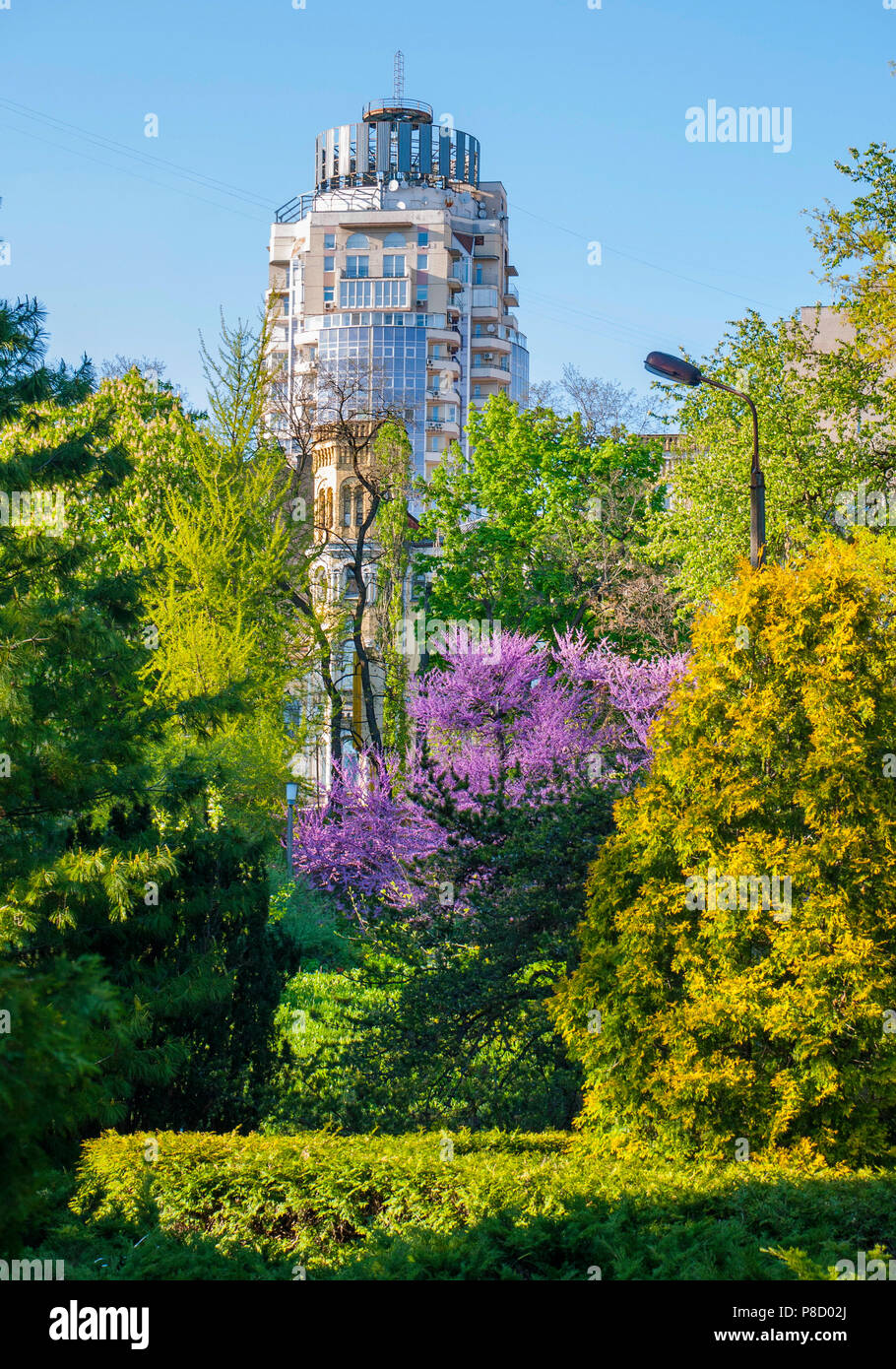 High modern high-rise building on the background of blossoming trees ...