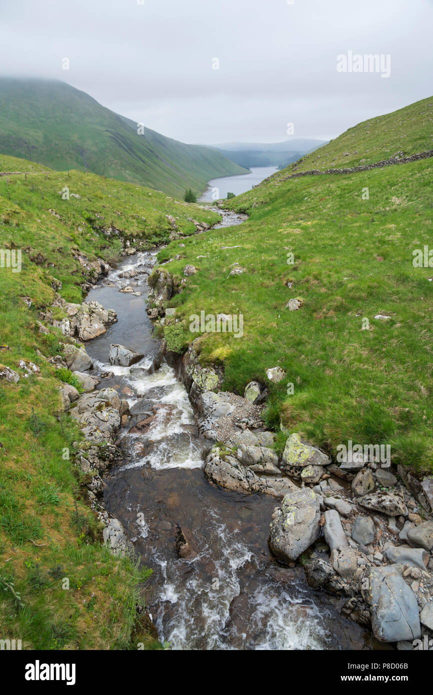 Tweedsmuir Hills, upper Tweed valley, Talla - Talla Burn Stock Photo ...