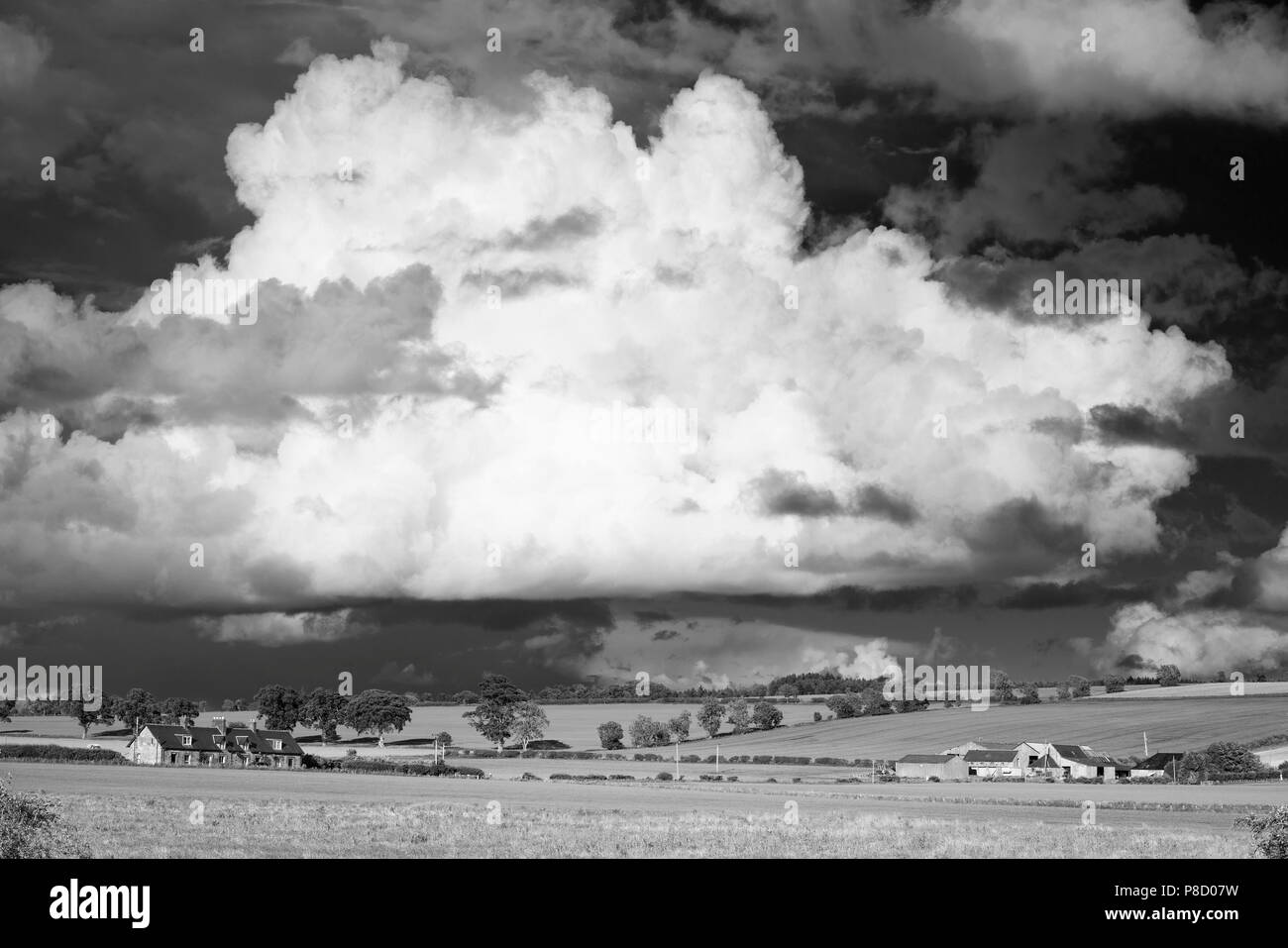 June borders Black and White Stock Photos & Images - Alamy