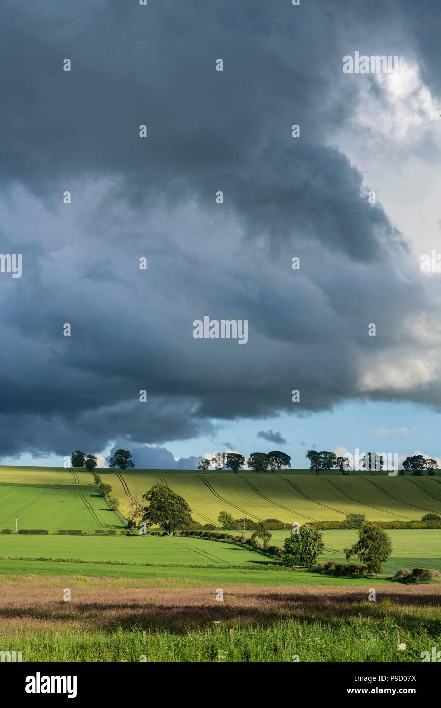 A landscape with dramatic clouds, Heiton, Scottish Borders in mid-June ...