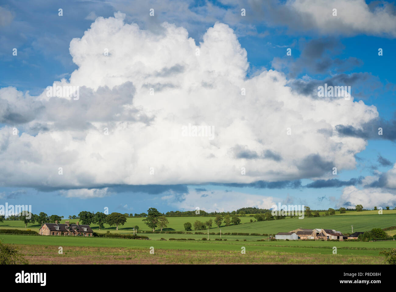 A landscape with dramatic clouds, Heiton, Scottish Borders in mid-June ...