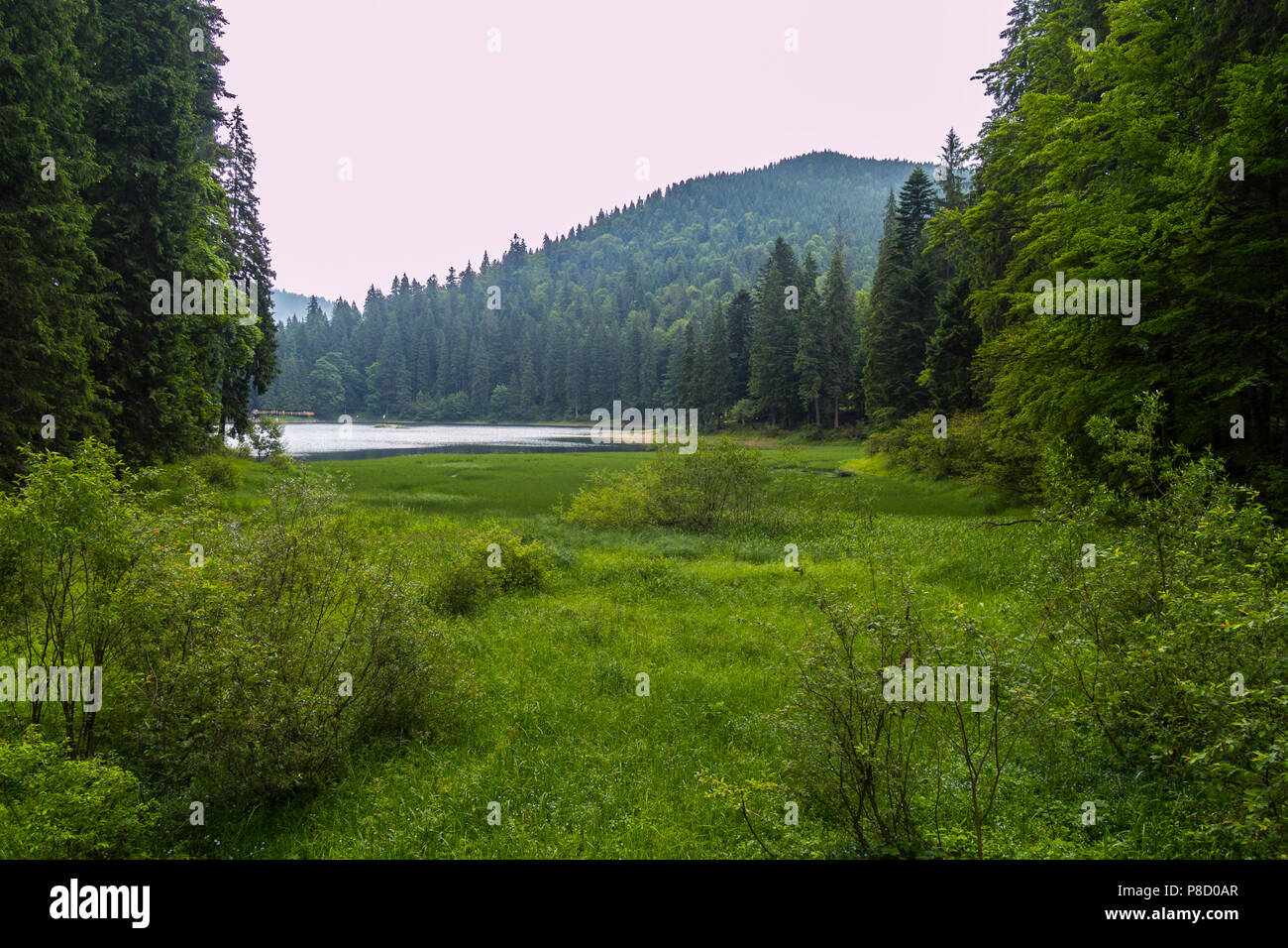 Beautiful blue transparent lake at the foot of the green huge mountains ...