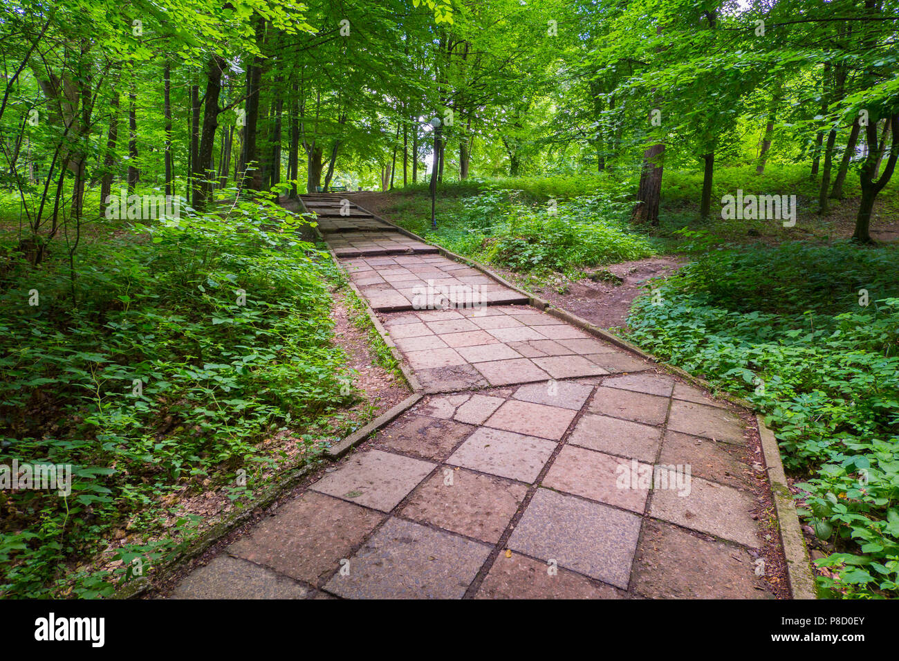 A path in a park lined with square tiles running amidst green grass and ...