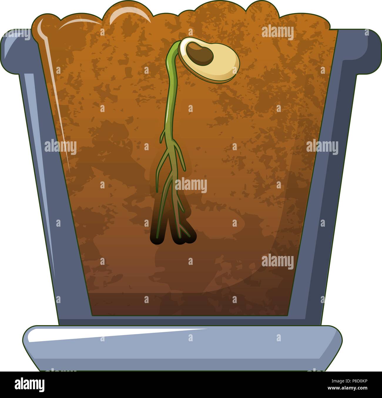 Bean germinated icon, cartoon style Stock Vector Image & Art - Alamy