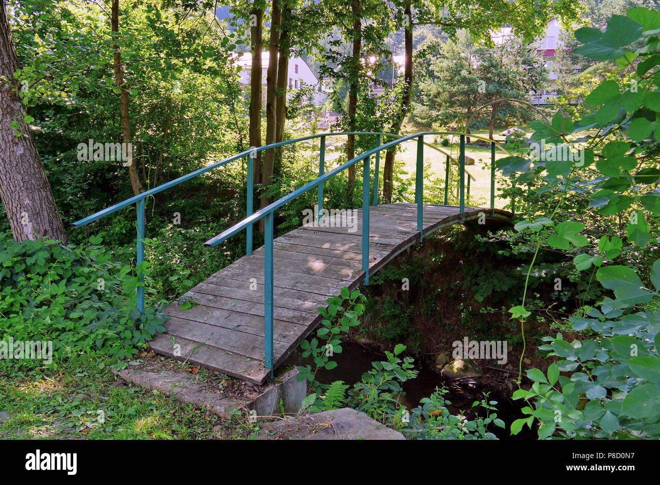 A small wooden bridge over the forest source with clean, cool water ...