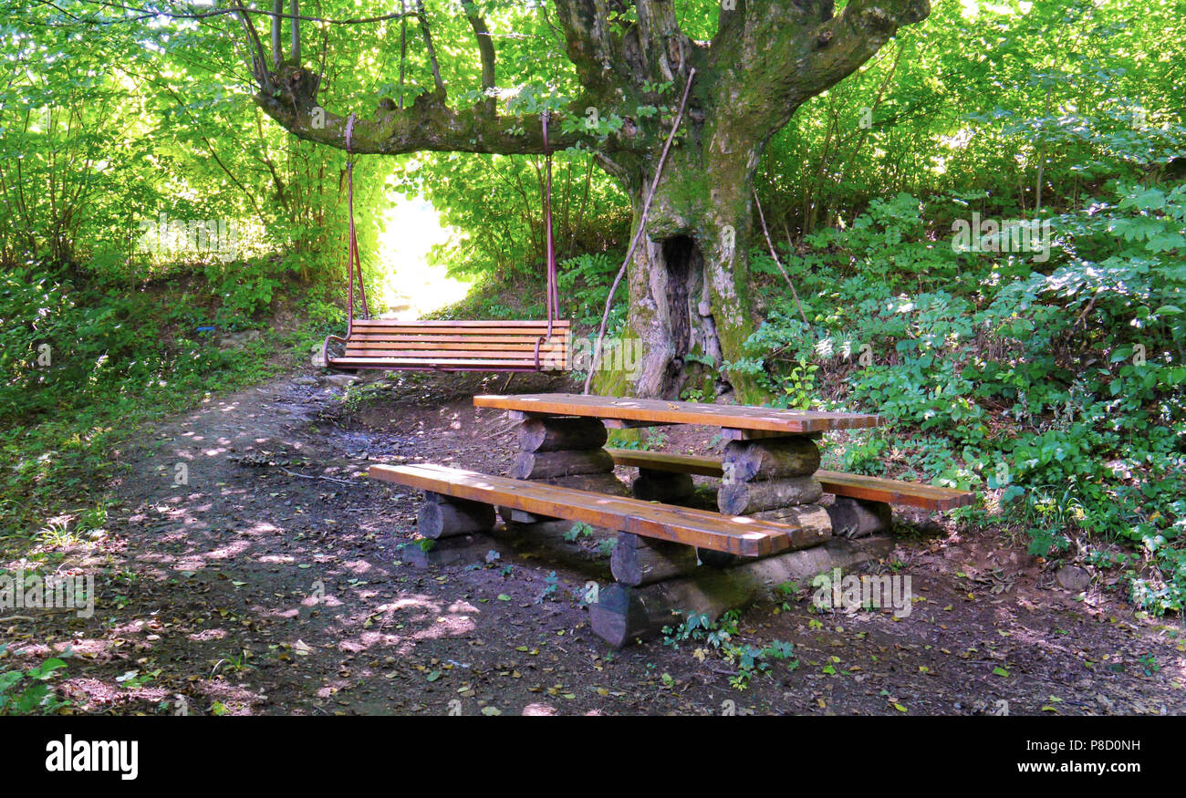An interesting table under a tree made of logs and boards and a bench ...