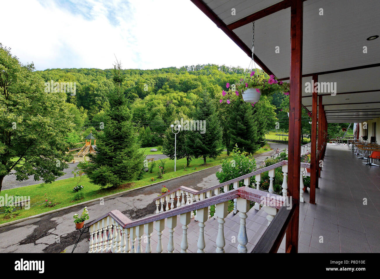 magnificent view from the hotel terrace to the green forest . For your ...