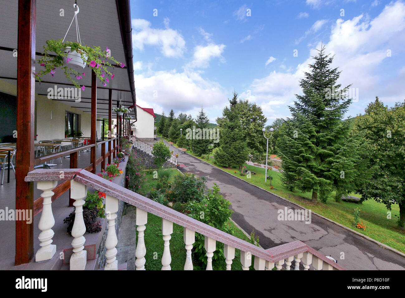 view from the terrace to the green beautiful park with cone-trees . For ...