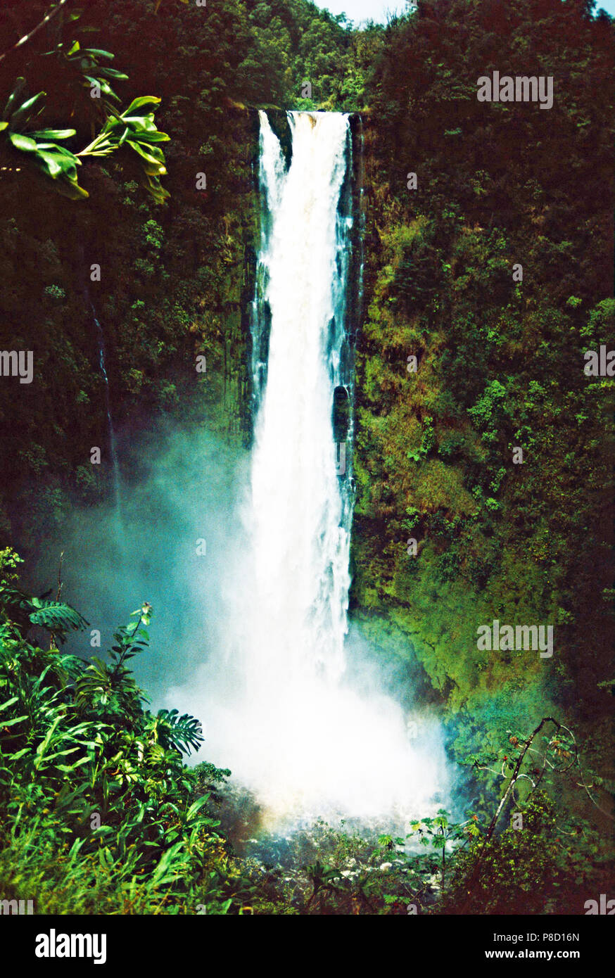 Akaka state falls park hi-res stock photography and images - Alamy