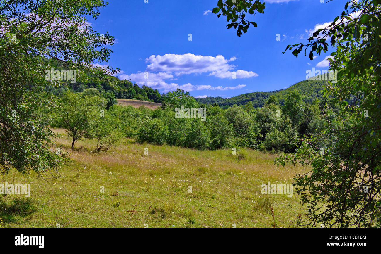 Far trees hi-res stock photography and images - Alamy