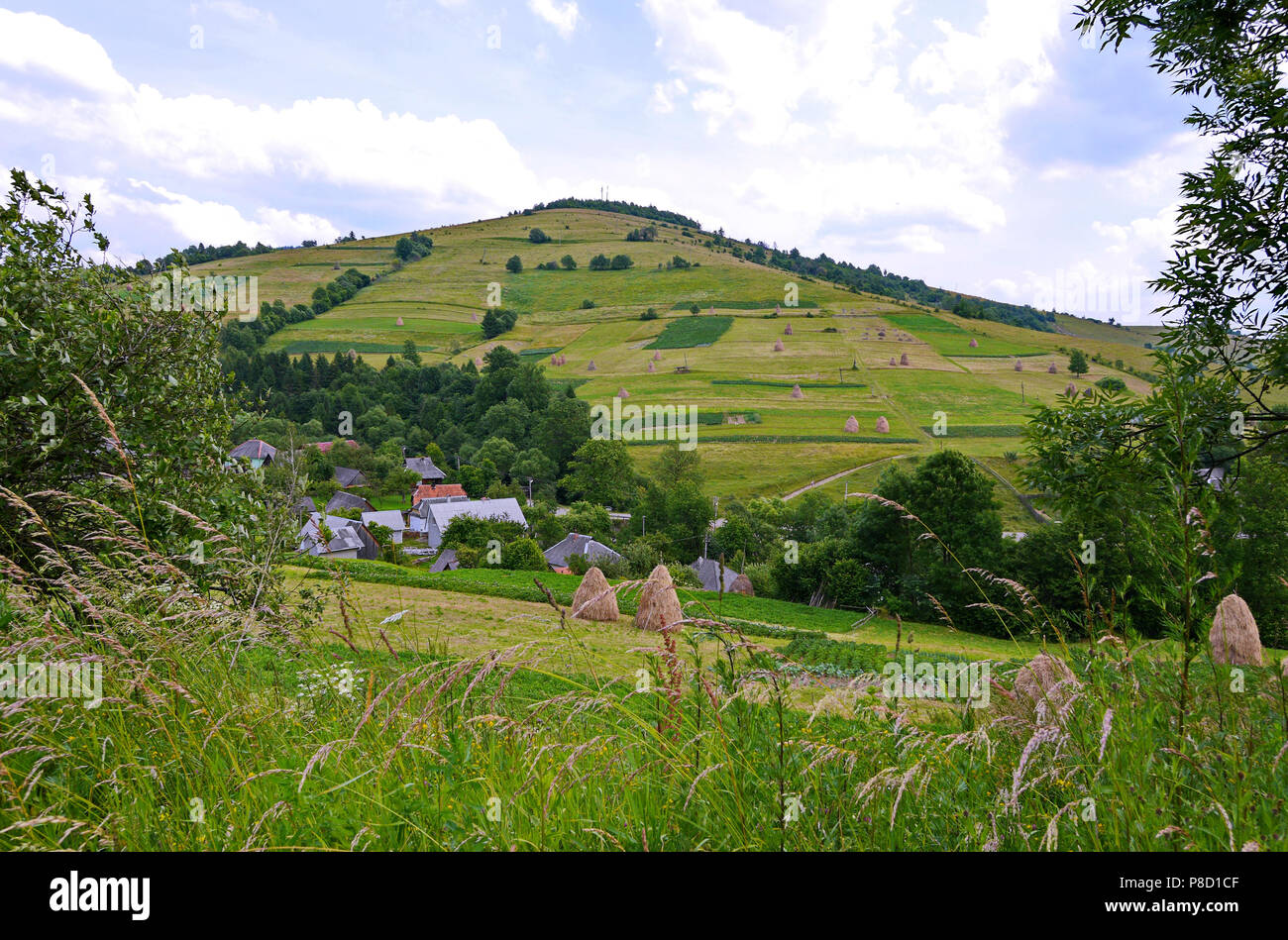 Hay roofs hi-res stock photography and images - Alamy