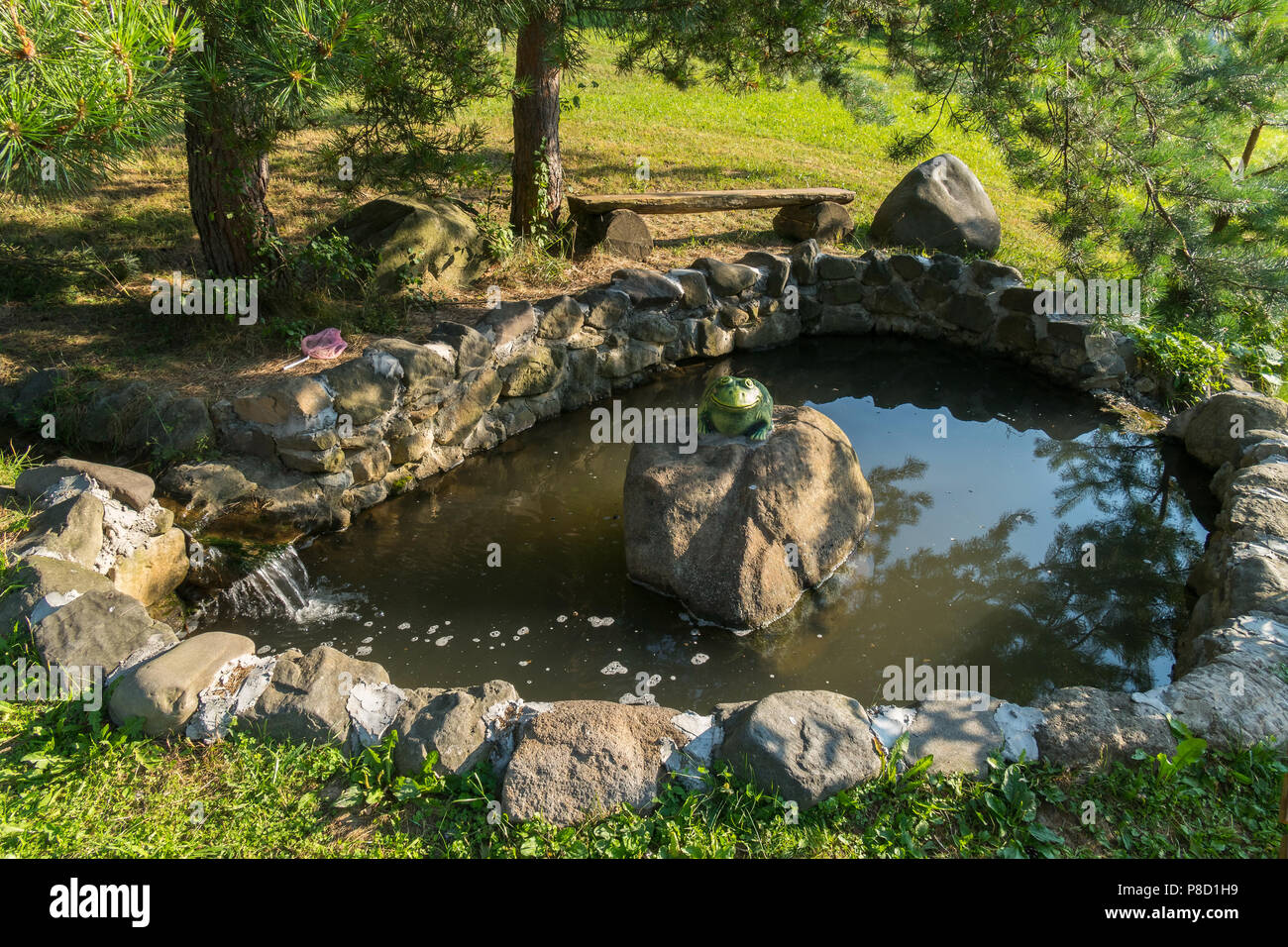 memorable cheerful green toad on a rock in an artificial lake facing a ...