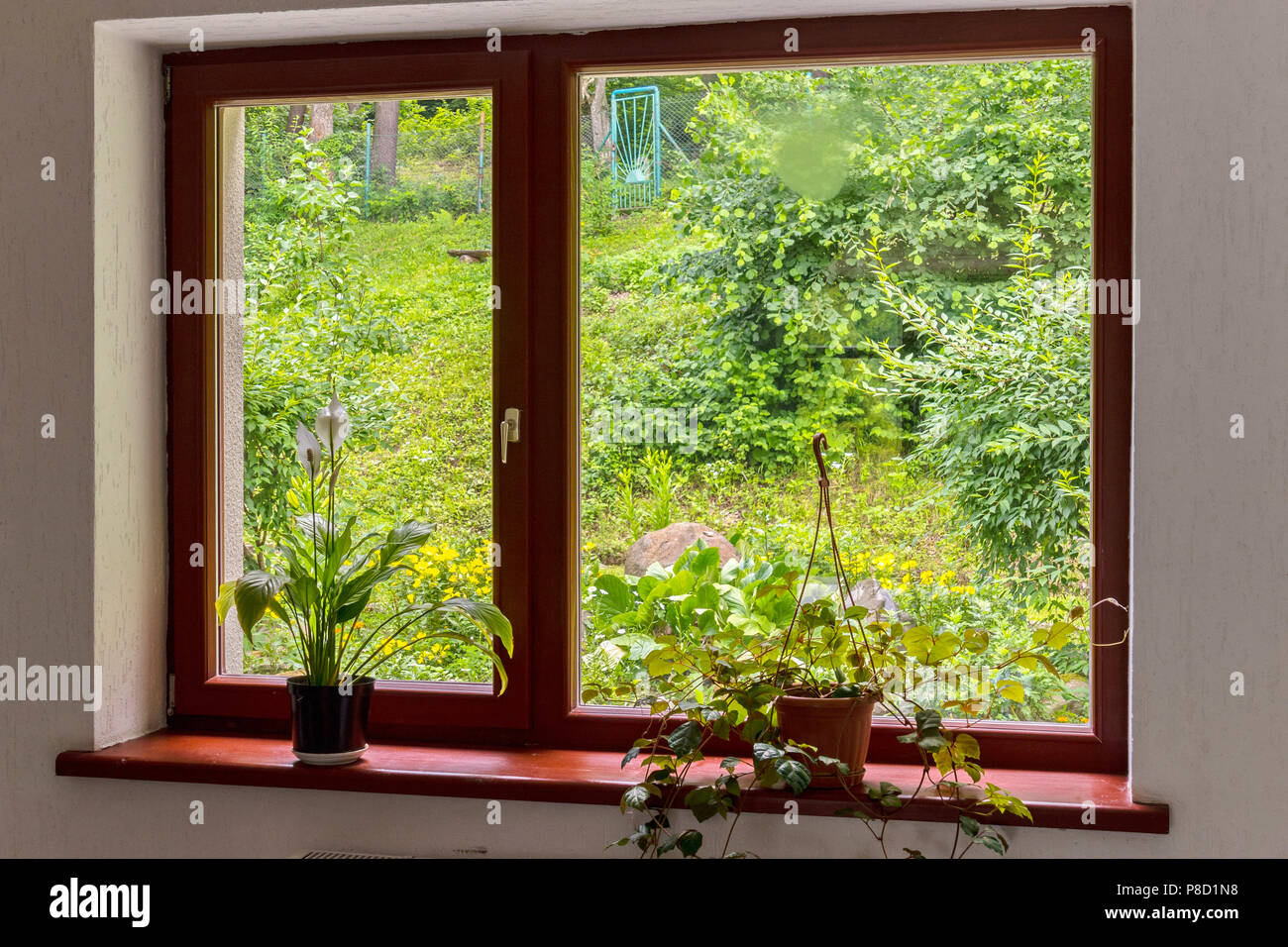 window frame with transparent glasses of green flowers on the ...