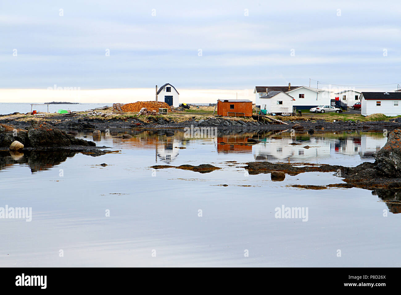 Seaside environment hi-res stock photography and images - Alamy