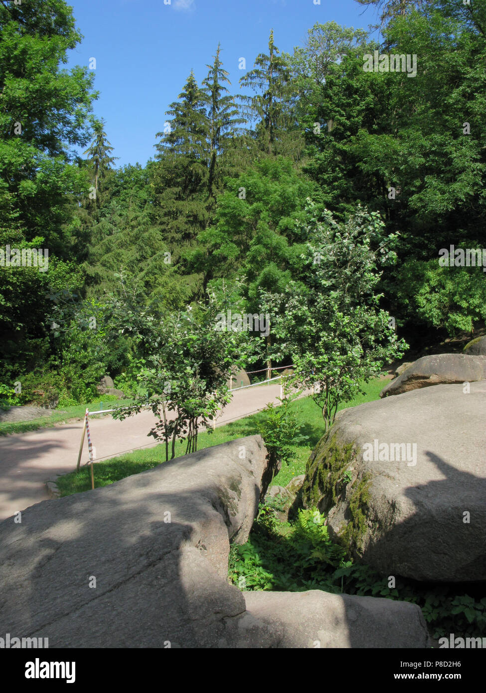 The path goes to a thick green forest thicket with huge boulders lying ...