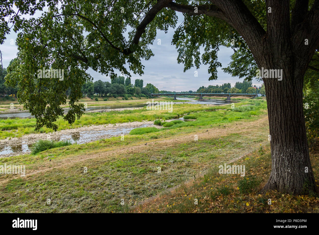 Autumn landscape from under a tree with falling leaves on a wide river ...
