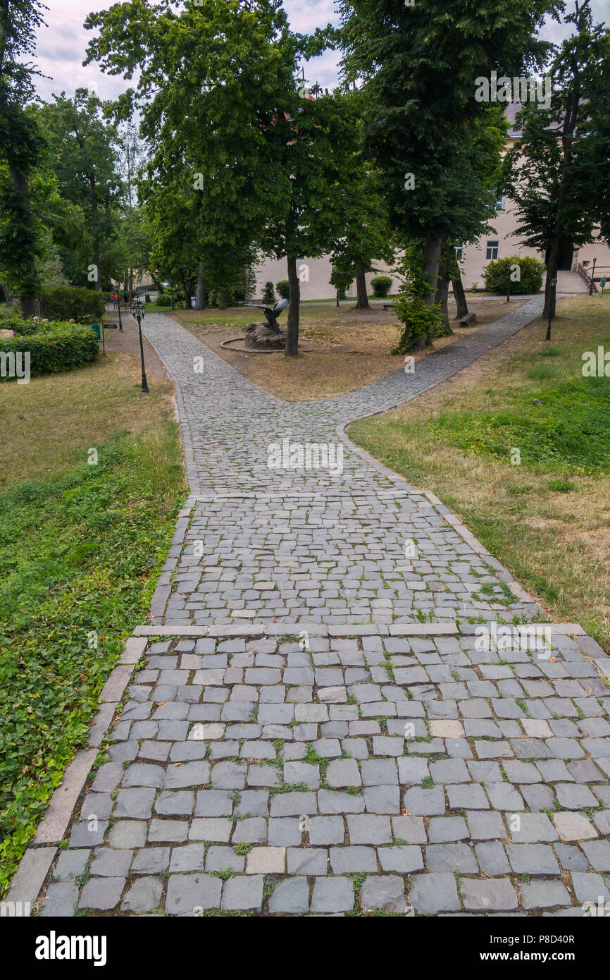 Stepped path in the park running between green trees with standing ...