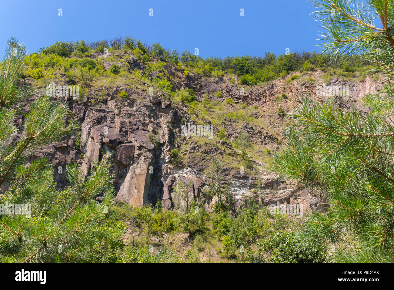 stone hillside with blossoming greenery and trees on top of it . For ...