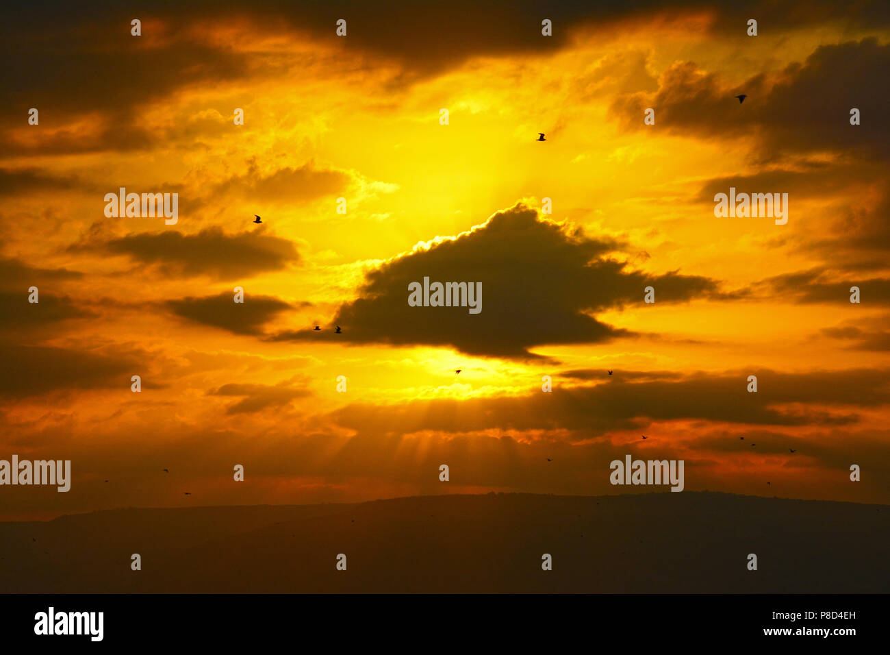 Holy sun hi-res stock photography and images - Alamy