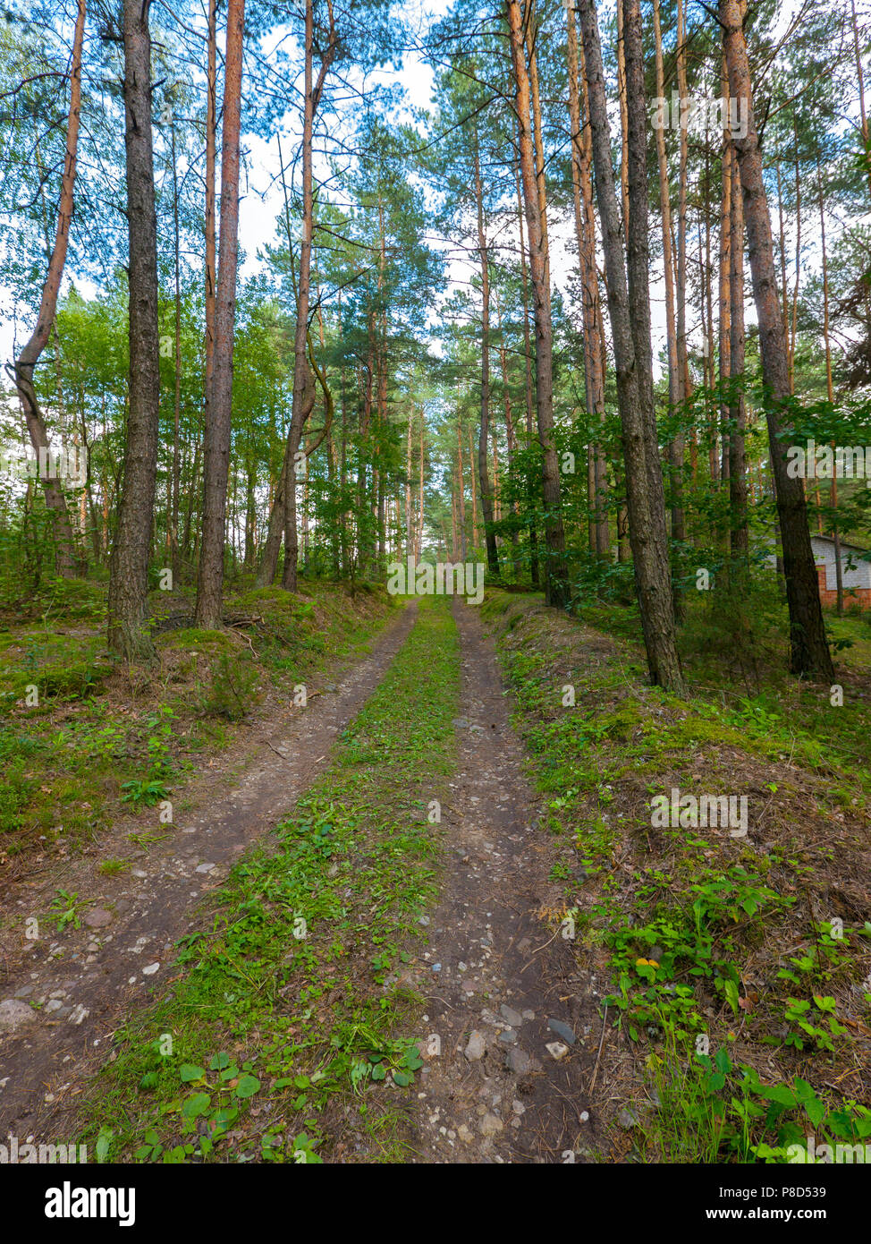 Trampled road hi-res stock photography and images - Alamy