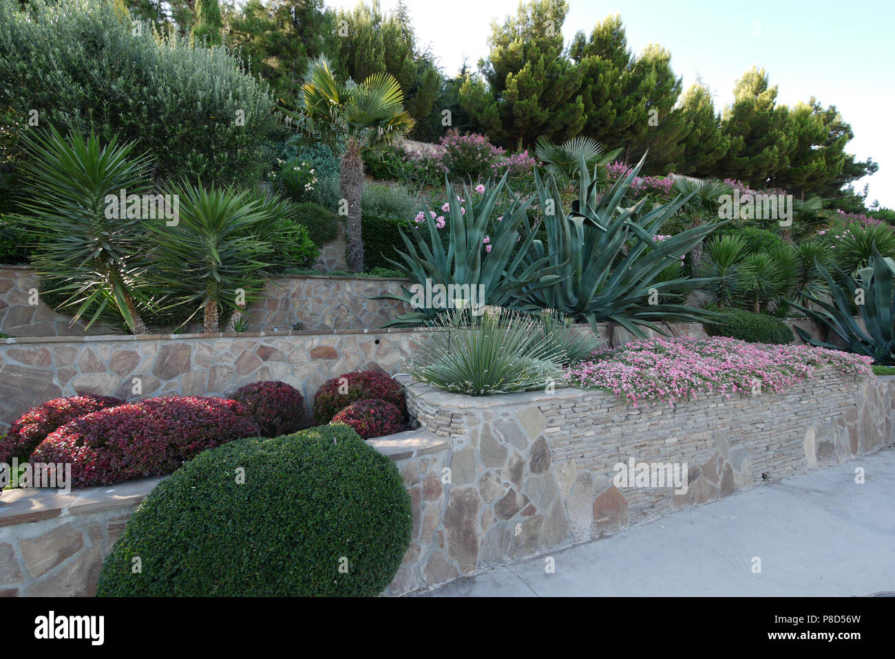 beautiful Yukki, palm trees, flowers and other shrubs are harmoniously ...