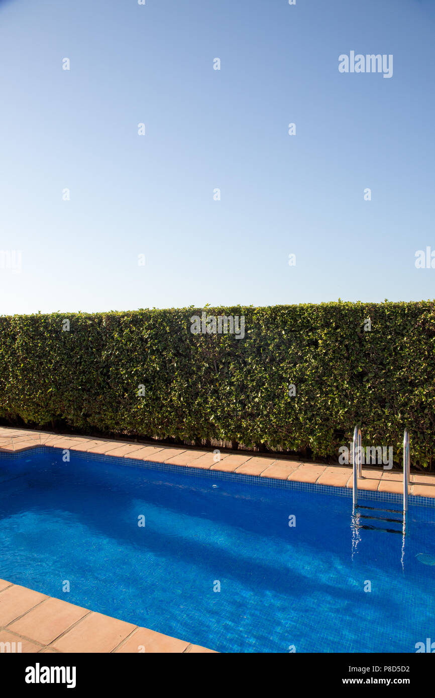 Empty swimming pool garden hi-res stock photography and images - Alamy
