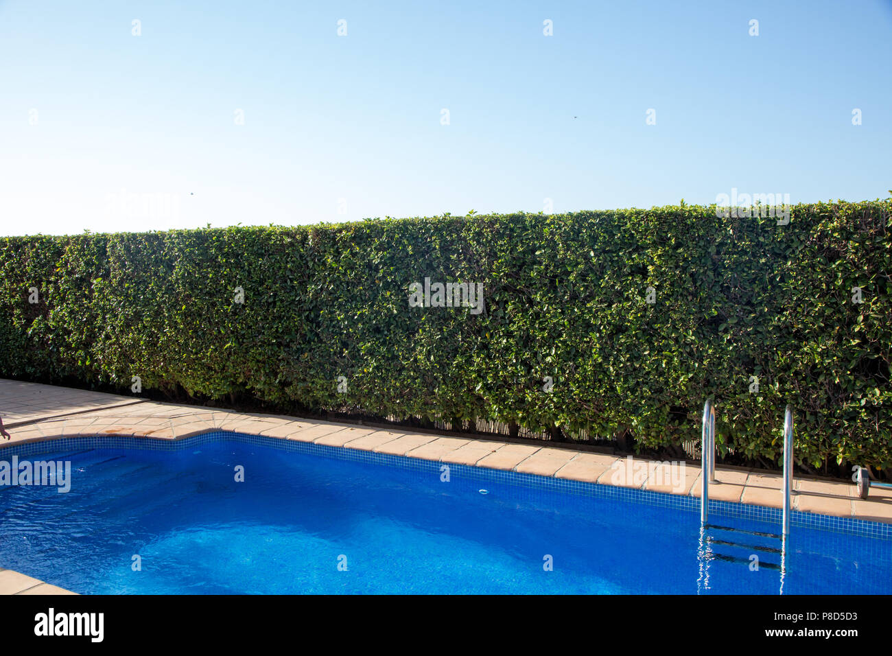 Empty swimming pool garden hi-res stock photography and images - Alamy