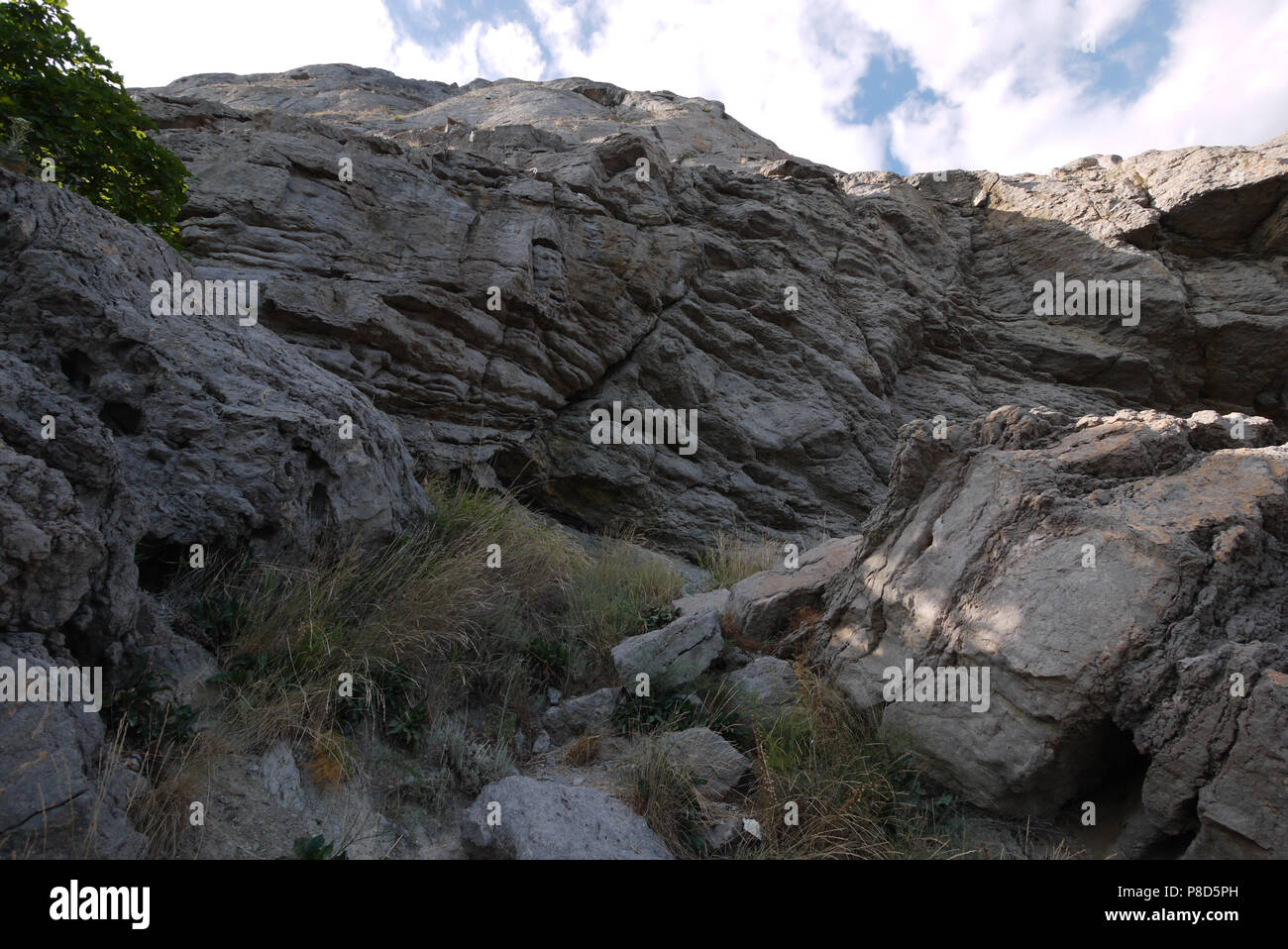 the tall rocky rocks are torn off with rains and dry grass winds . For ...