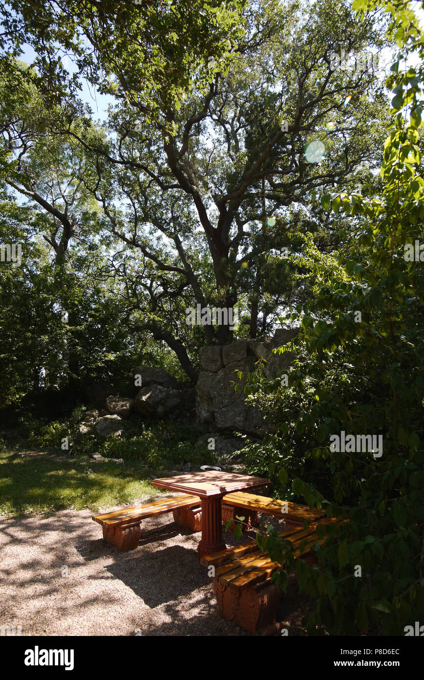 wooden lacquered table with benches in the park under the shade of ...