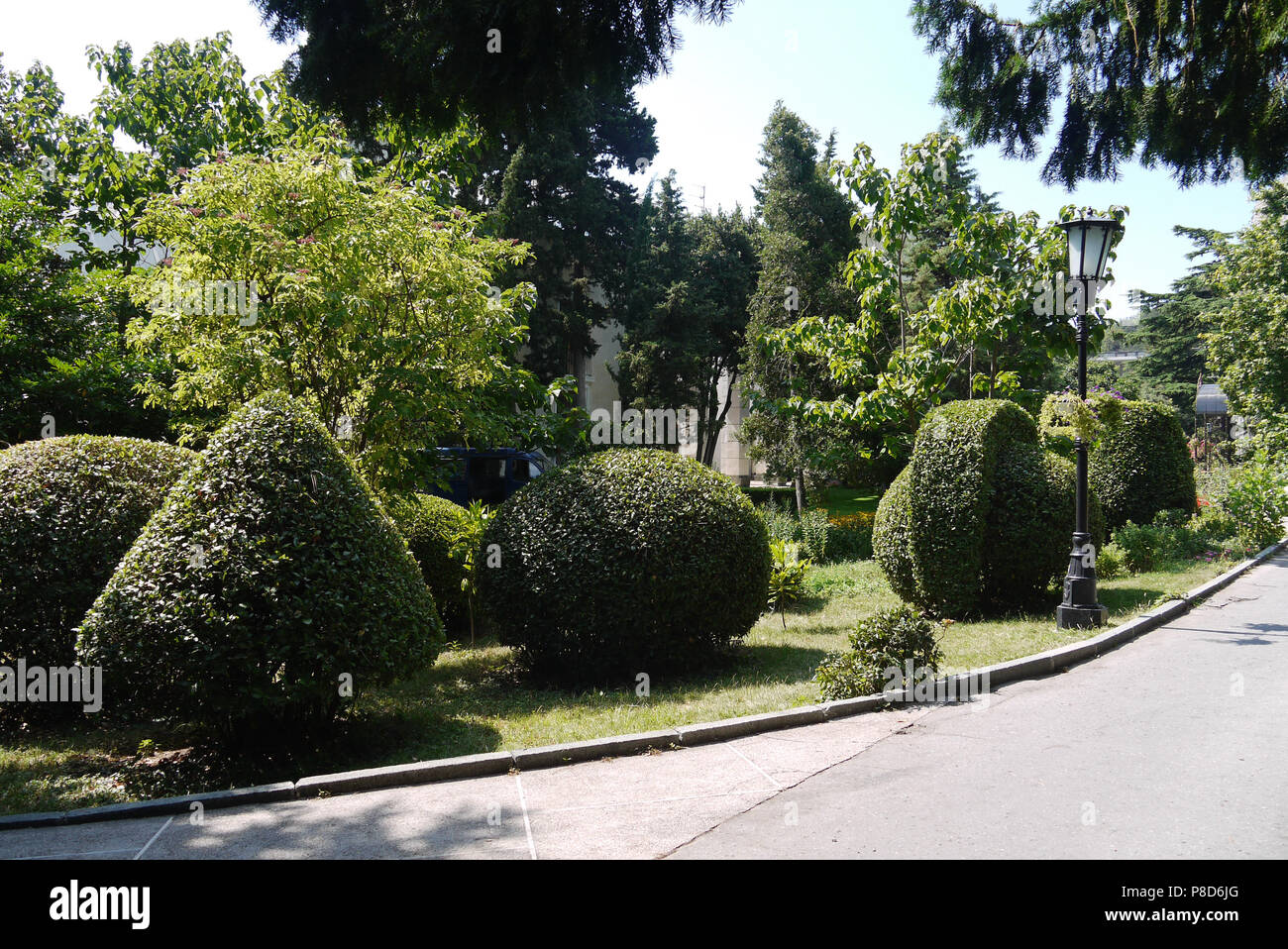 Design bushes in the park trimmed in the form of various geometric ...