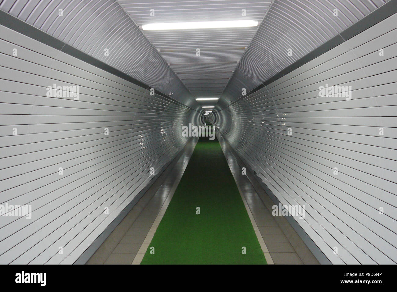 long white corridor in the basement with a green path on the tile ...