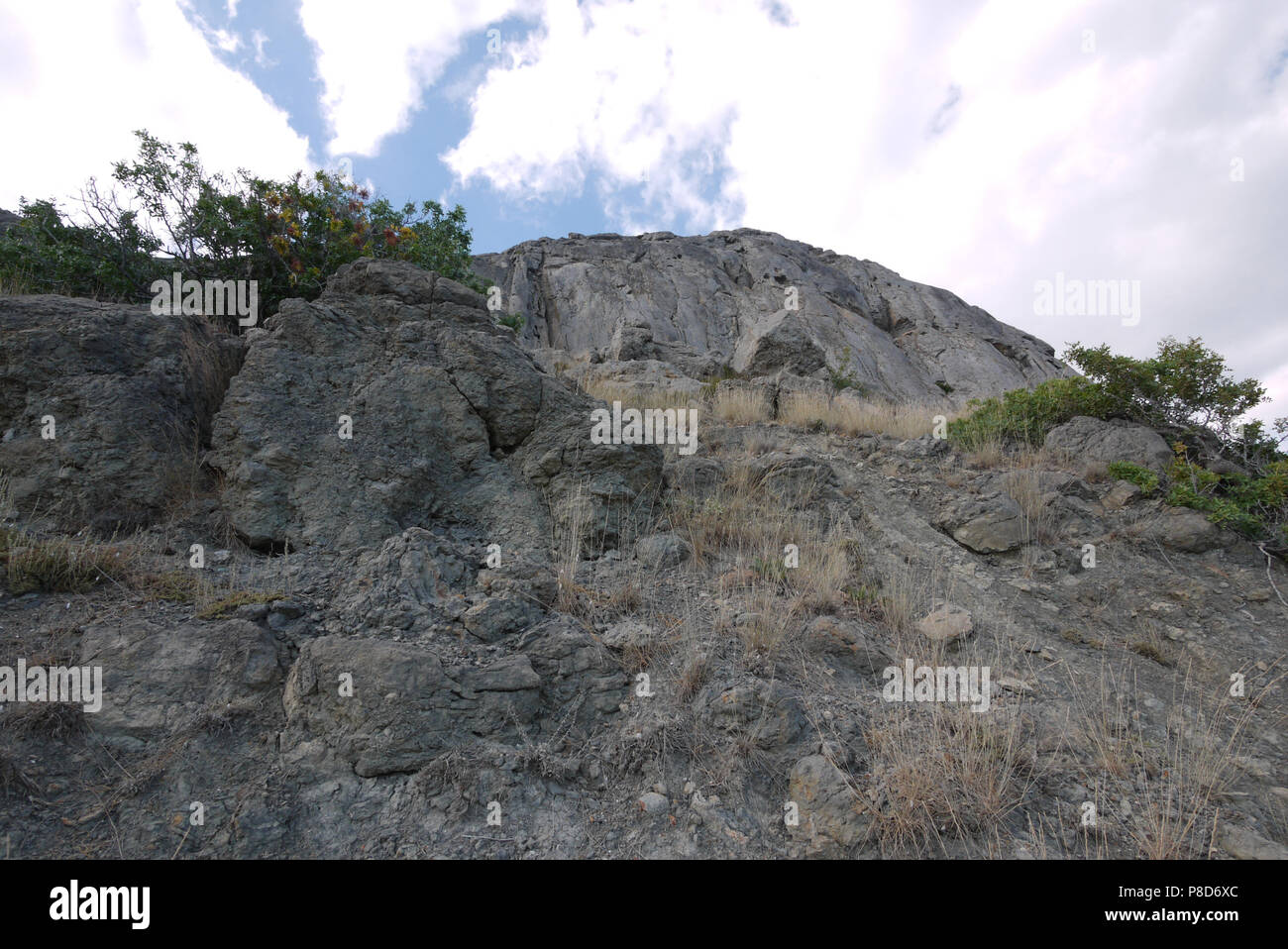 Scattered bushes hi-res stock photography and images - Alamy