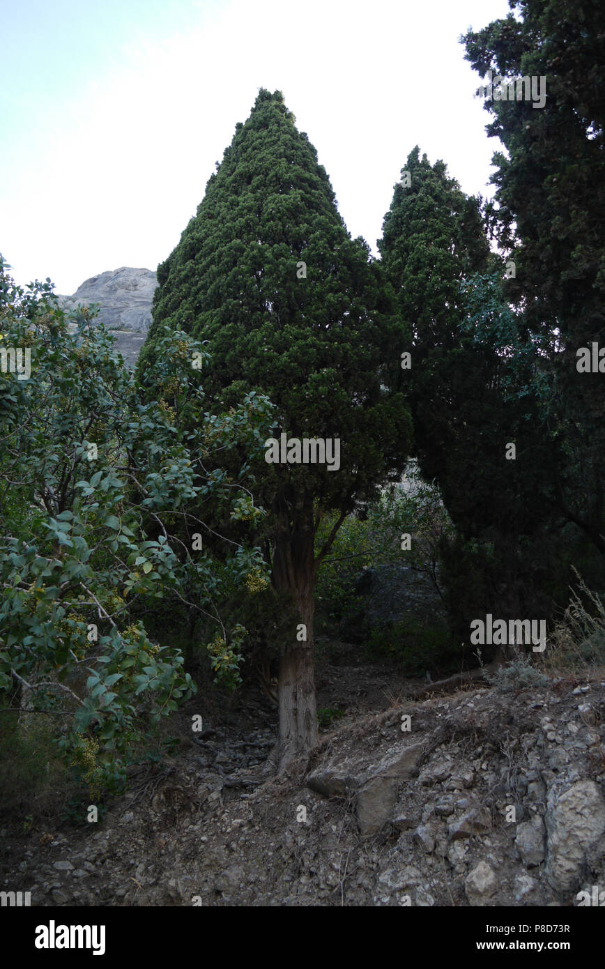 Cone shaped structure hi-res stock photography and images - Alamy