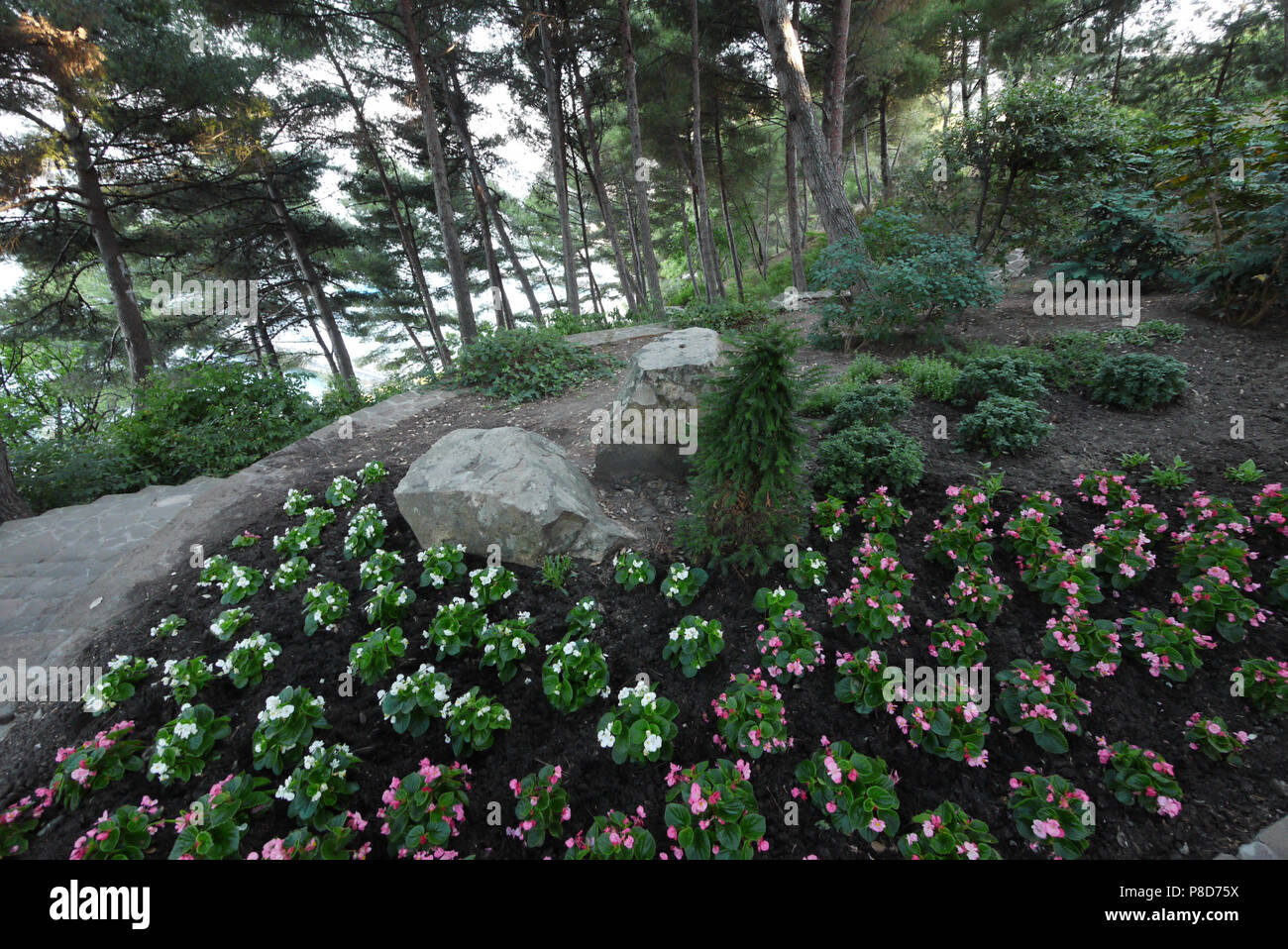 Decorative flowerbed with small flowers, stone boulders and coniferous ...
