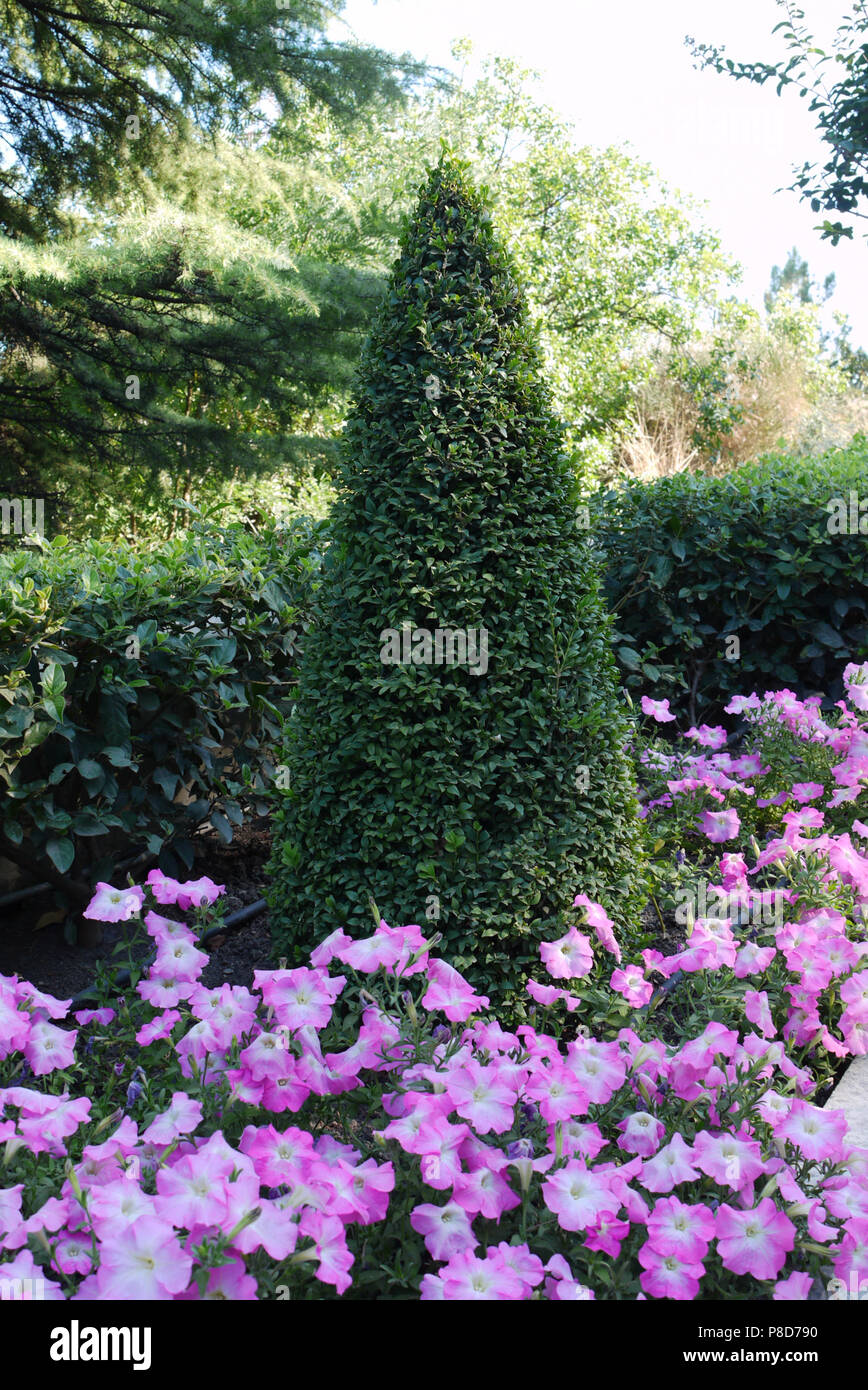 A tall ornately trimmed green bush with flower beds with small pink ...