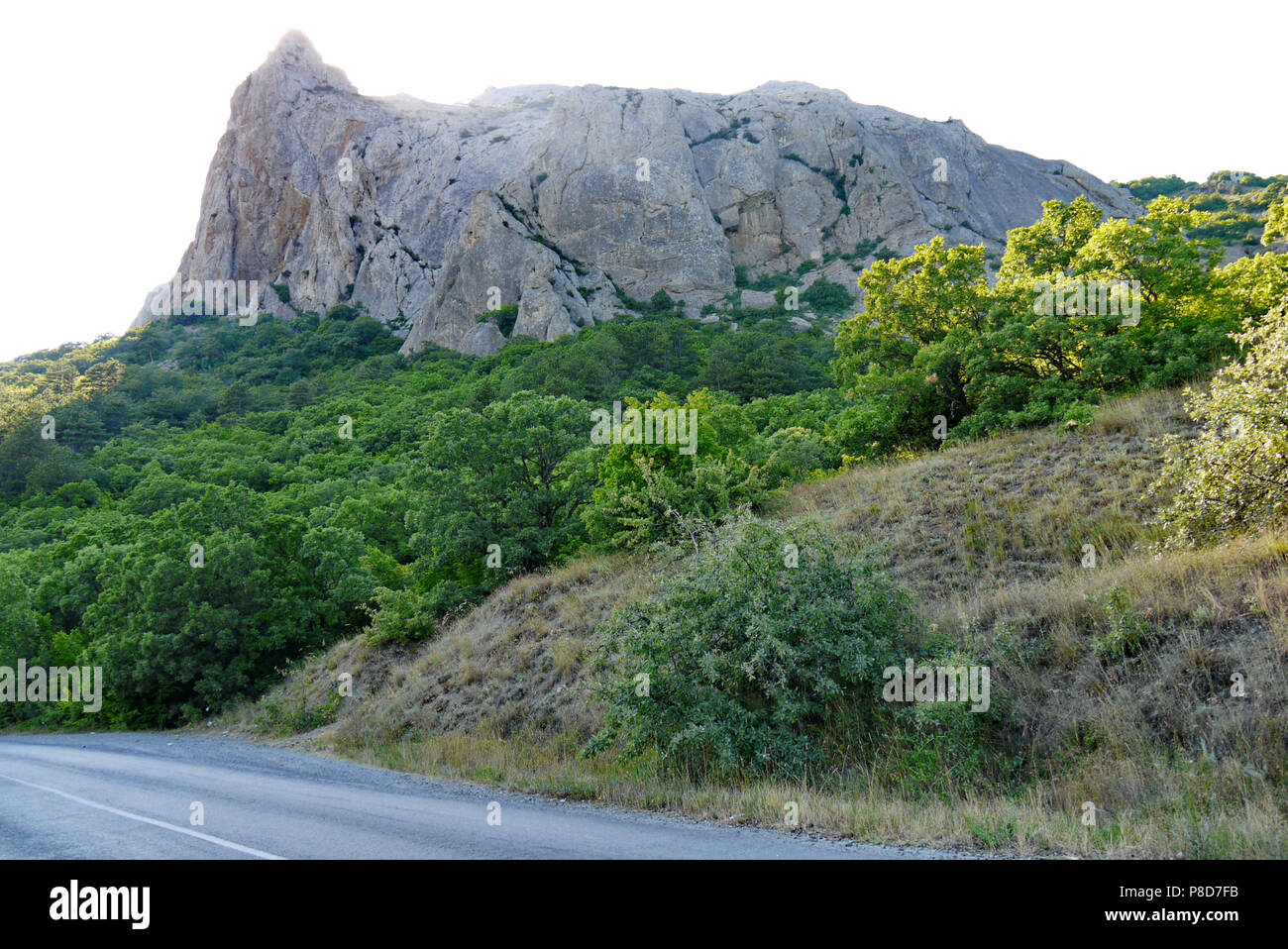 The road on the background of a high gray cliff is surrounded by green ...