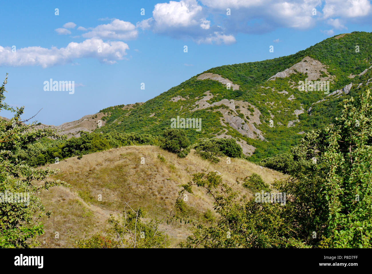 high steep grass-covered slope on the blue sky background . For your ...